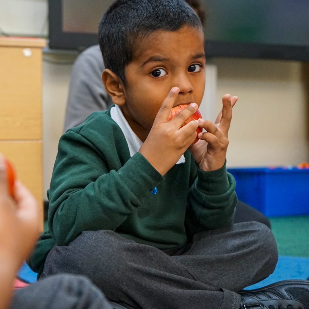 Princethorpe Schools – Proud members of drb Ignite MAT